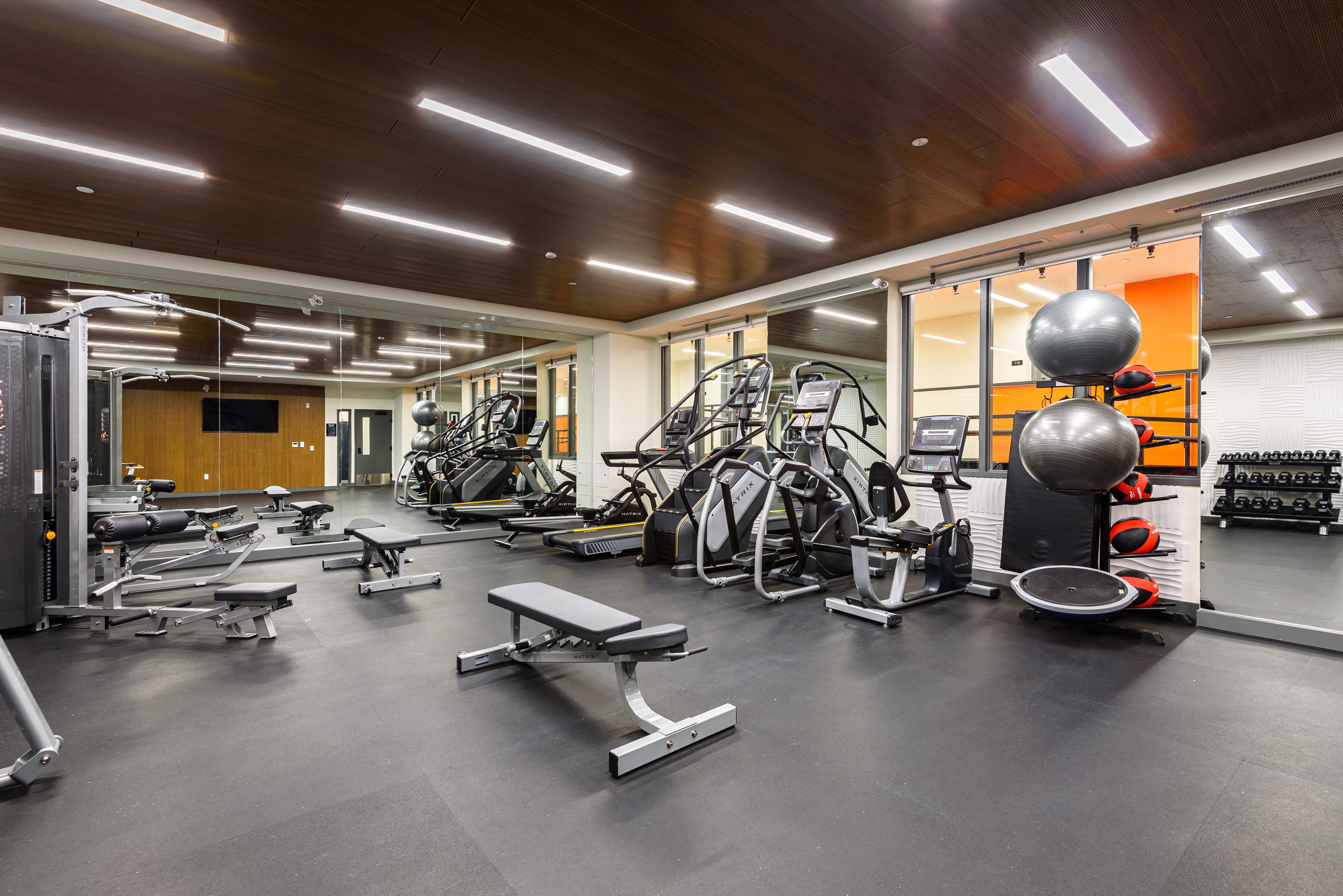 FUZE Woodstock - Z Modular